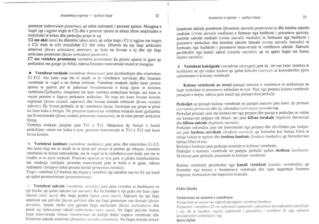 ANATOMIA E NJERIUT - NJOHURI BAZE.pdf