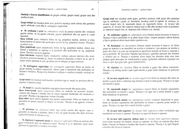 ANATOMIA E NJERIUT - NJOHURI BAZE.pdf