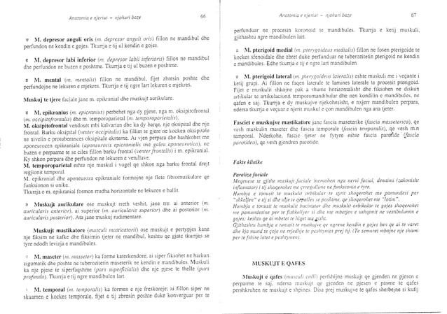 ANATOMIA E NJERIUT - NJOHURI BAZE.pdf