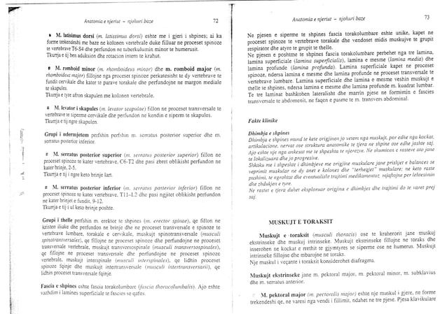 ANATOMIA E NJERIUT - NJOHURI BAZE.pdf