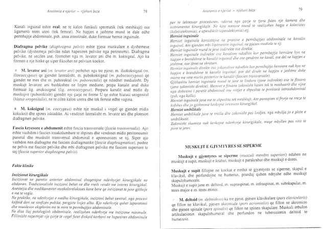 ANATOMIA E NJERIUT - NJOHURI BAZE.pdf