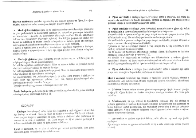 ANATOMIA E NJERIUT - NJOHURI BAZE.pdf