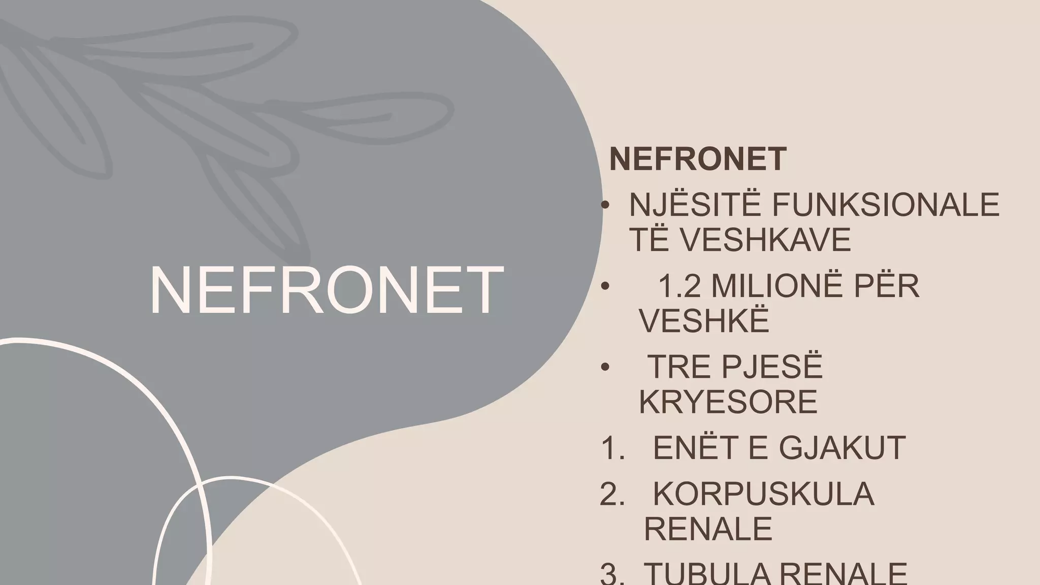 ANATOMIA E PERGJITHSME E SISTEMIT URINAR.pptx
