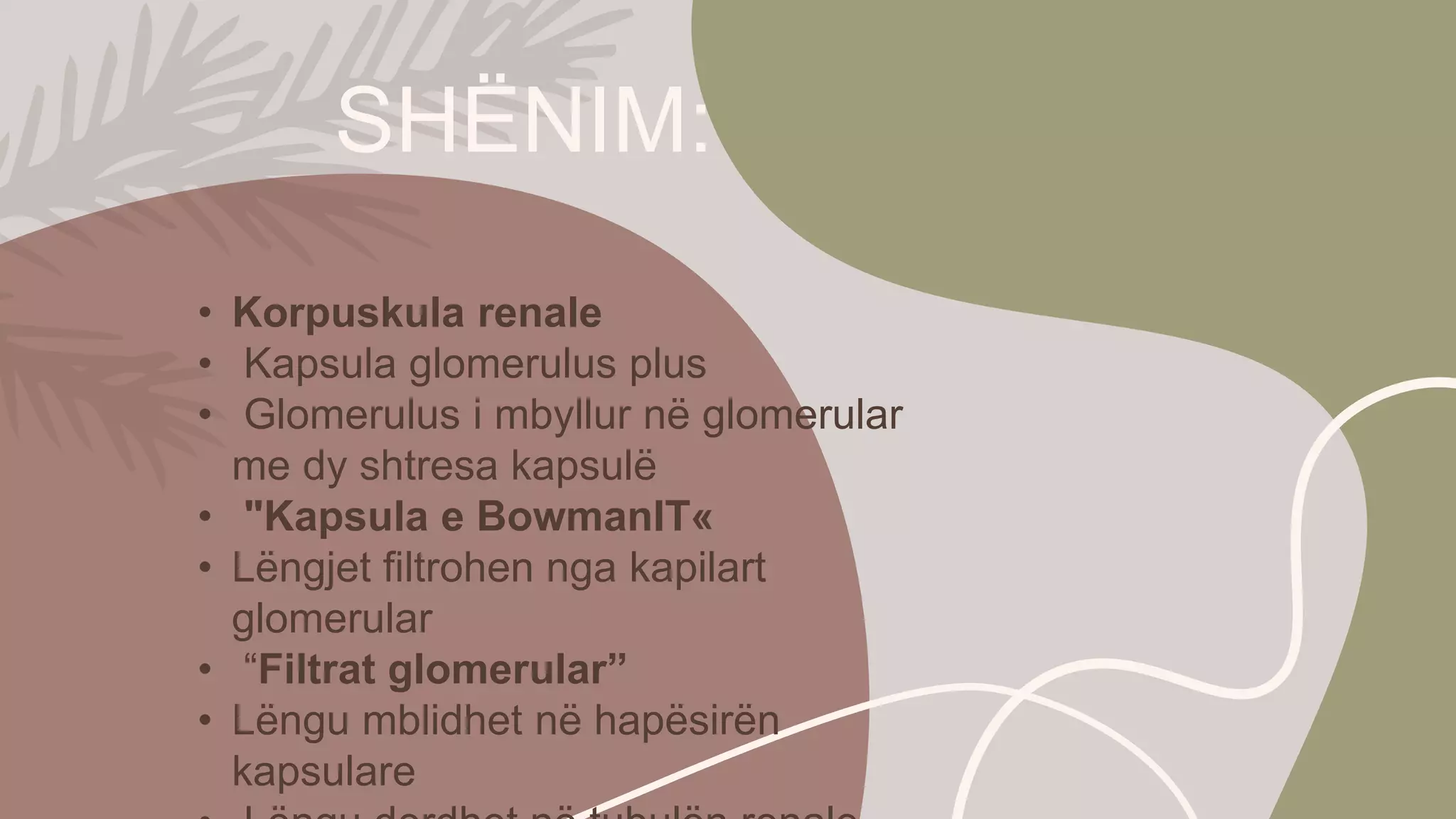 ANATOMIA E PERGJITHSME E SISTEMIT URINAR.pptx