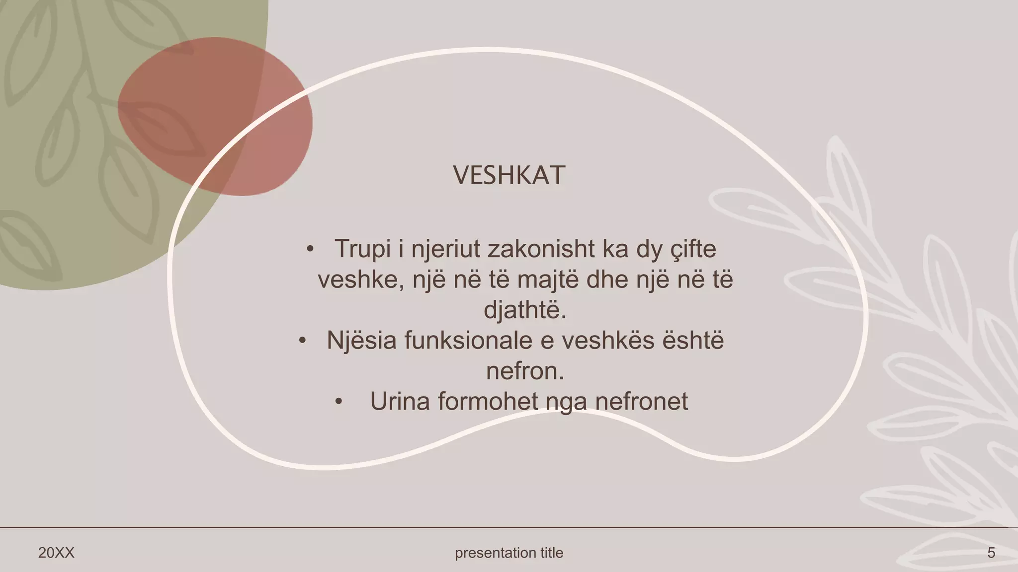 ANATOMIA E PERGJITHSME E SISTEMIT URINAR.pptx