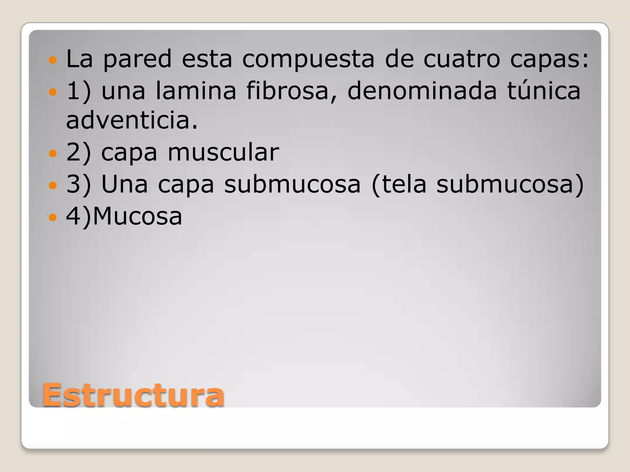 Anatomía del Equino (Esófago) | PPTX