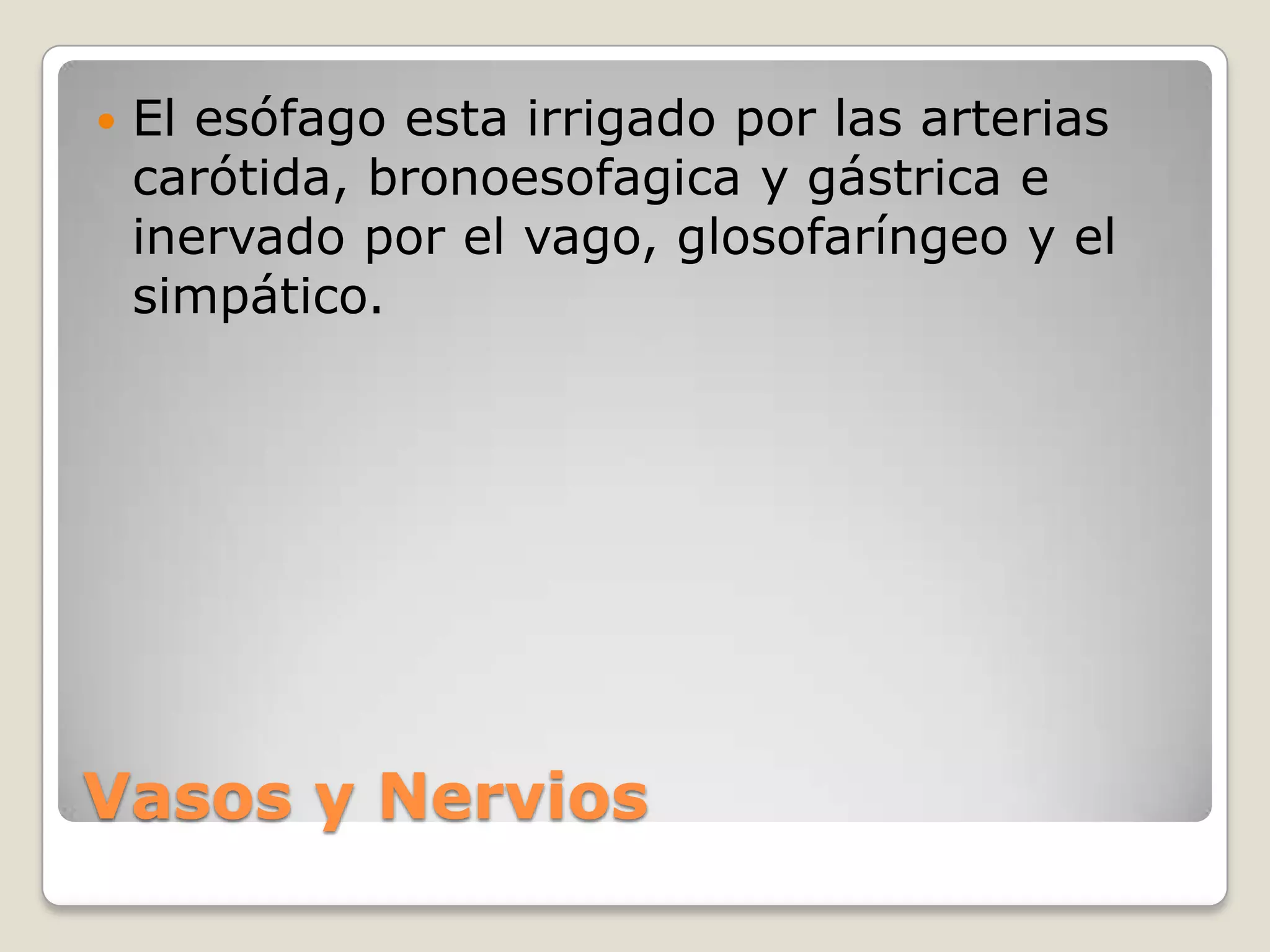 Anatomía del Equino (Esófago) | PPTX