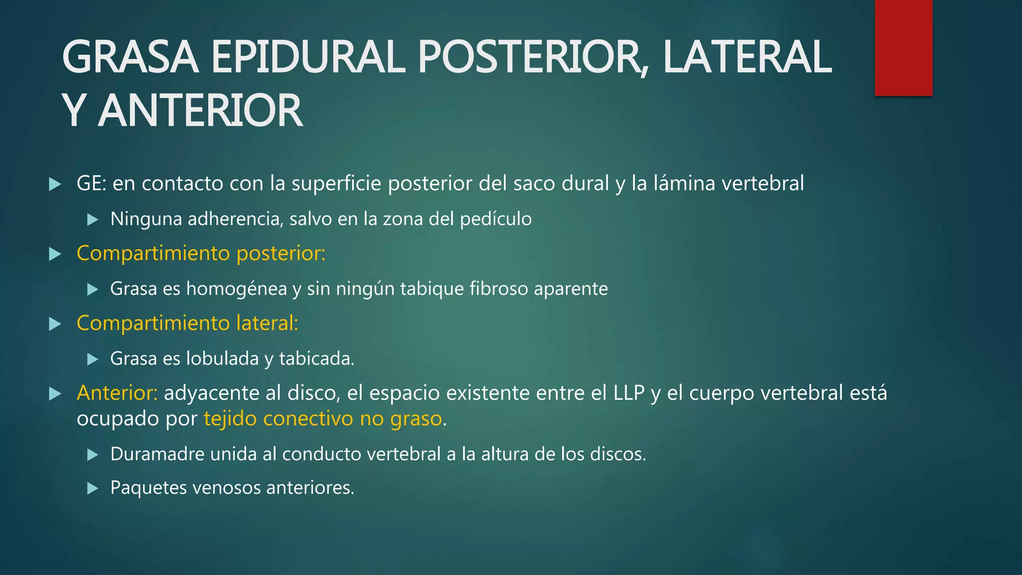 Anatomia espacio epidural | PPTX