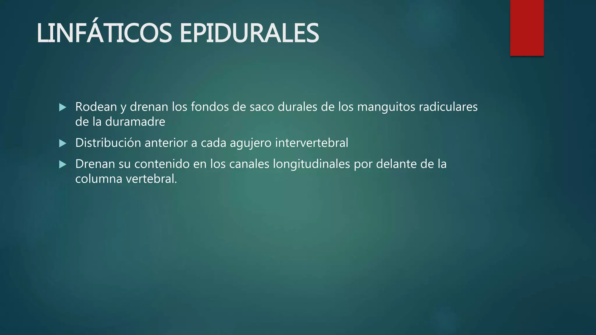 Anatomia espacio epidural | PPTX
