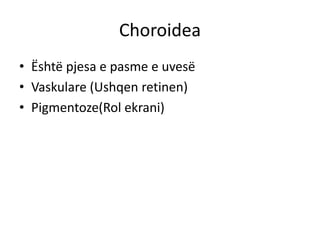 Anatomia e syrit | PPTX