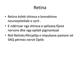 Anatomia e syrit | PPTX