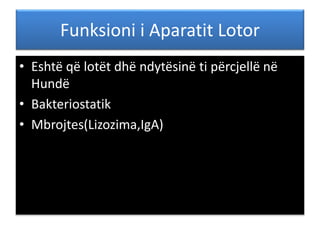 Anatomia e syrit | PPTX