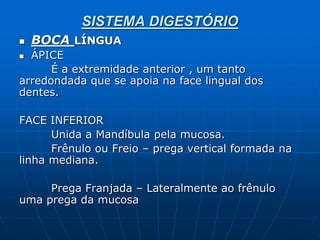 ANATOMIA SISTEMA DIGESTÓRIO.ppt