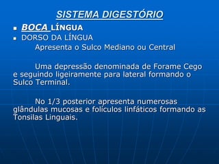 ANATOMIA SISTEMA DIGESTÓRIO.ppt