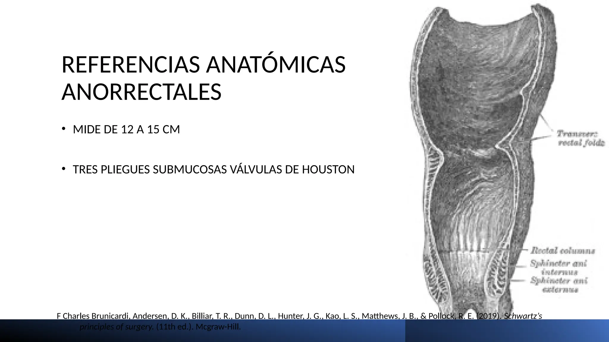 ANATOMIA, FISIOLOGA DE COLON, RECTO Y ANO.pptx