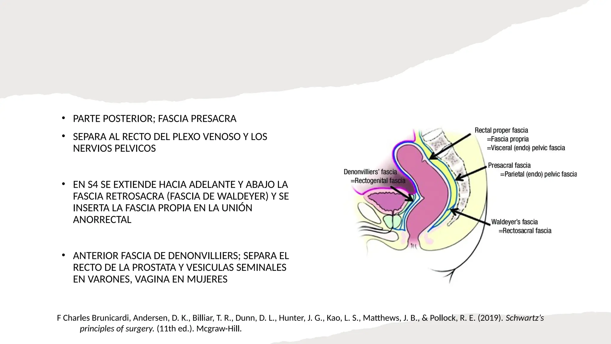 ANATOMIA, FISIOLOGA DE COLON, RECTO Y ANO.pptx