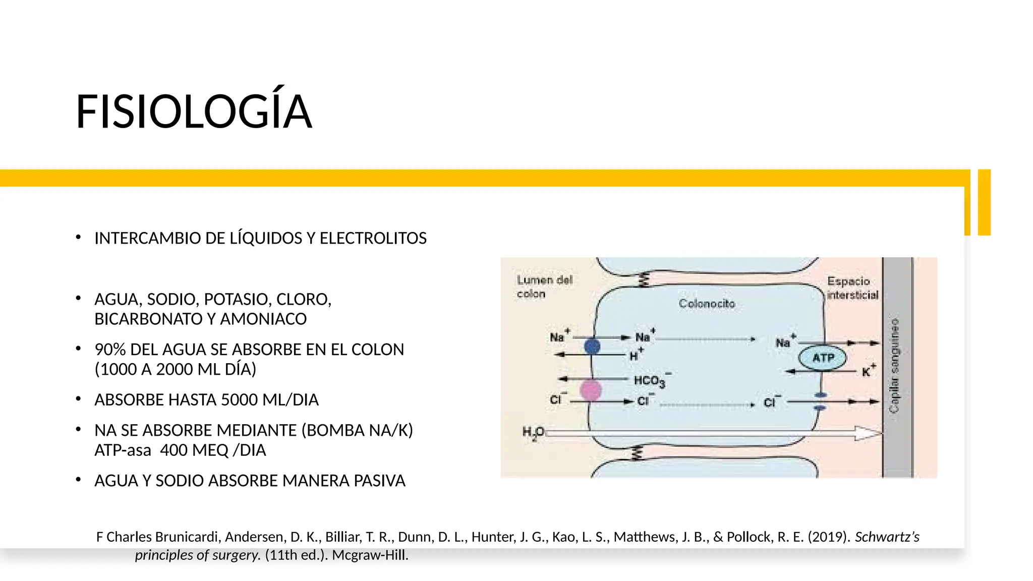 ANATOMIA, FISIOLOGA DE COLON, RECTO Y ANO.pptx