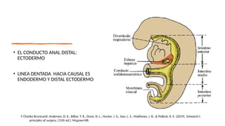 ANATOMIA, FISIOLOGA DE COLON, RECTO Y ANO.pptx