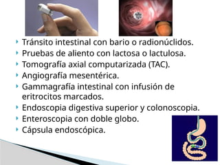ANATOMÍA, FISIOLOGÍA de INTESTINO DELGADO Y GRUESO.pptx