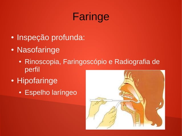 Anatomia, fisiologia e propedeutica de faringe e laringe | PDF
