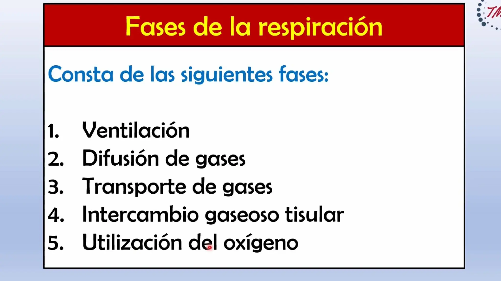 fisiología pulmonar y anatomia con esquemas .pptx