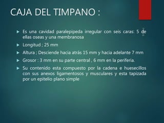 Anatomia Fisiologia y patologia del Oido | PPTX