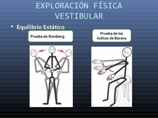 Anatomia, fisio y semio del oido