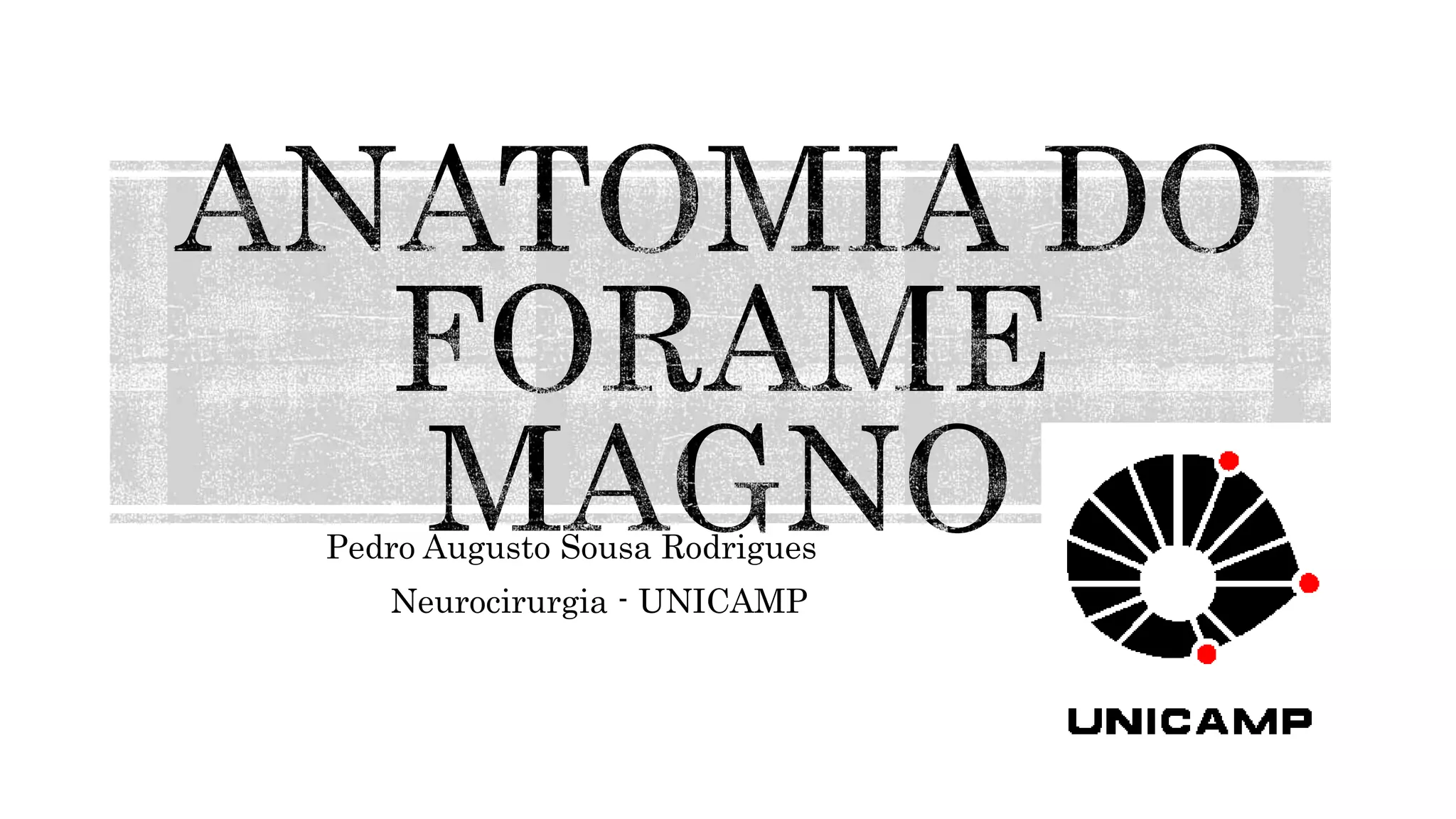 Anatomia do forame magno | PPTX