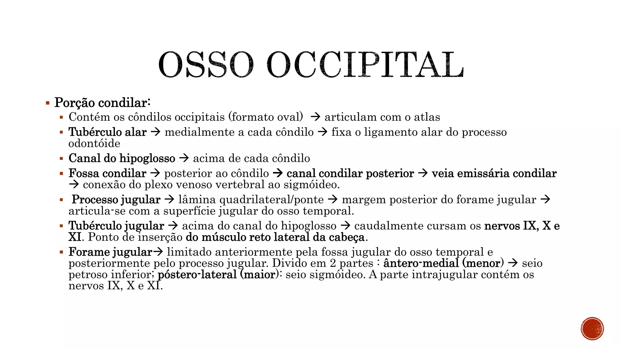 Anatomia do forame magno | PPTX