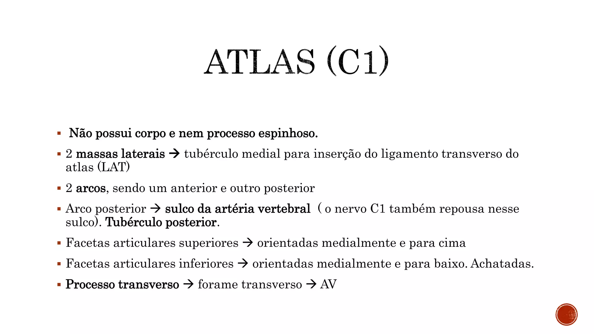 Anatomia do forame magno | PPTX
