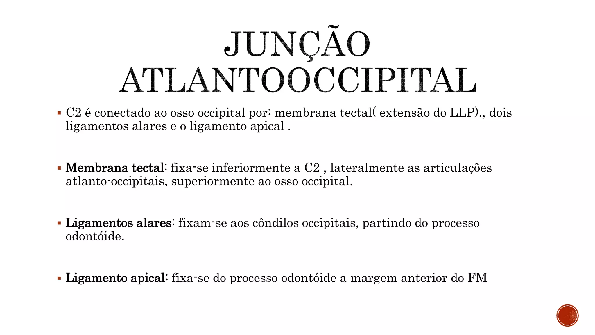 Anatomia do forame magno | PPTX