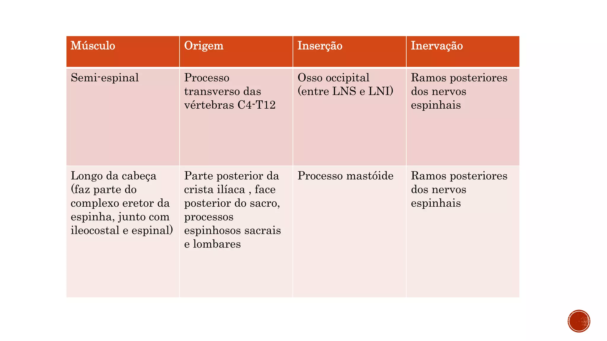 Anatomia do forame magno | PPTX