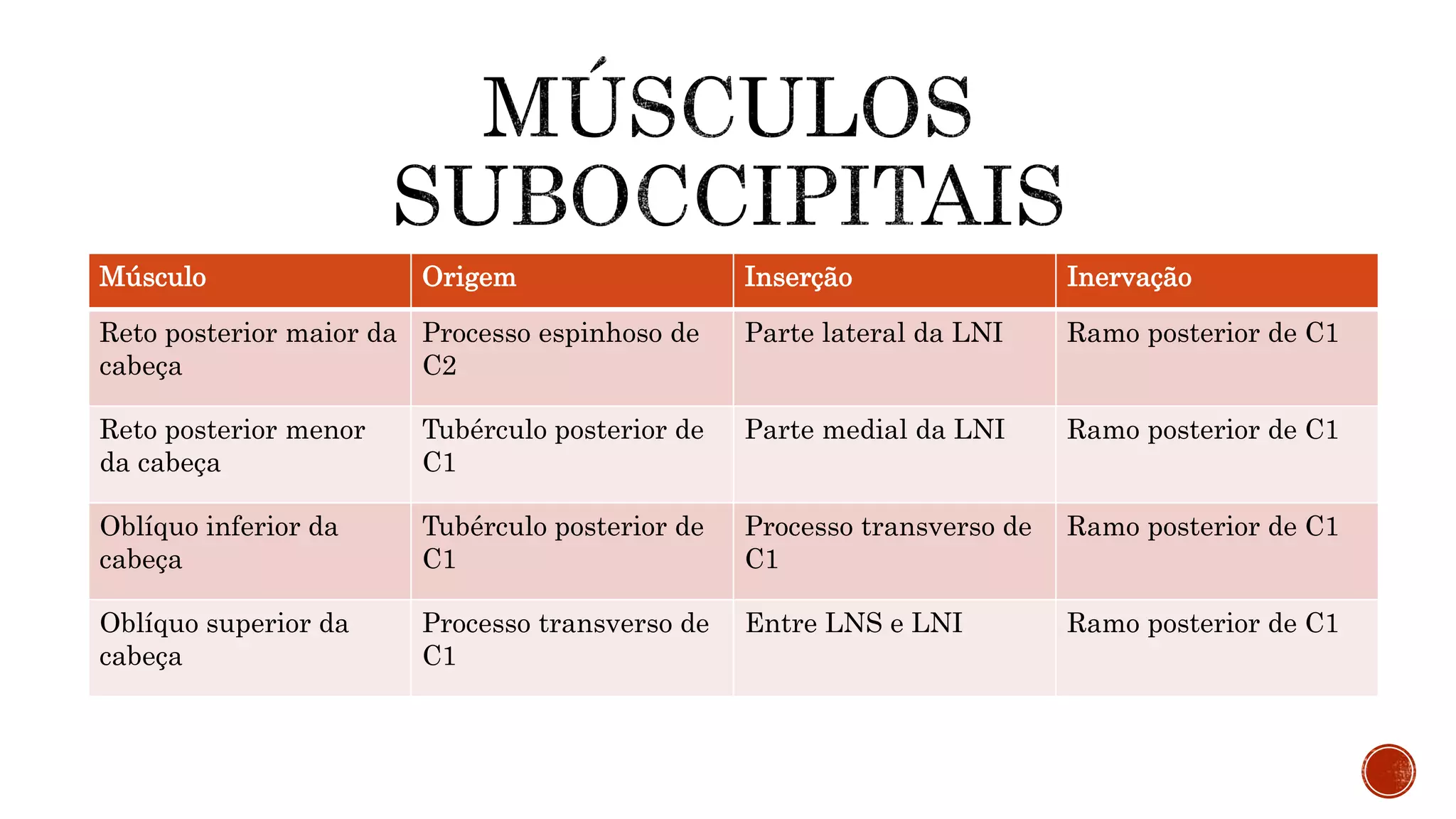 Anatomia do forame magno | PPTX