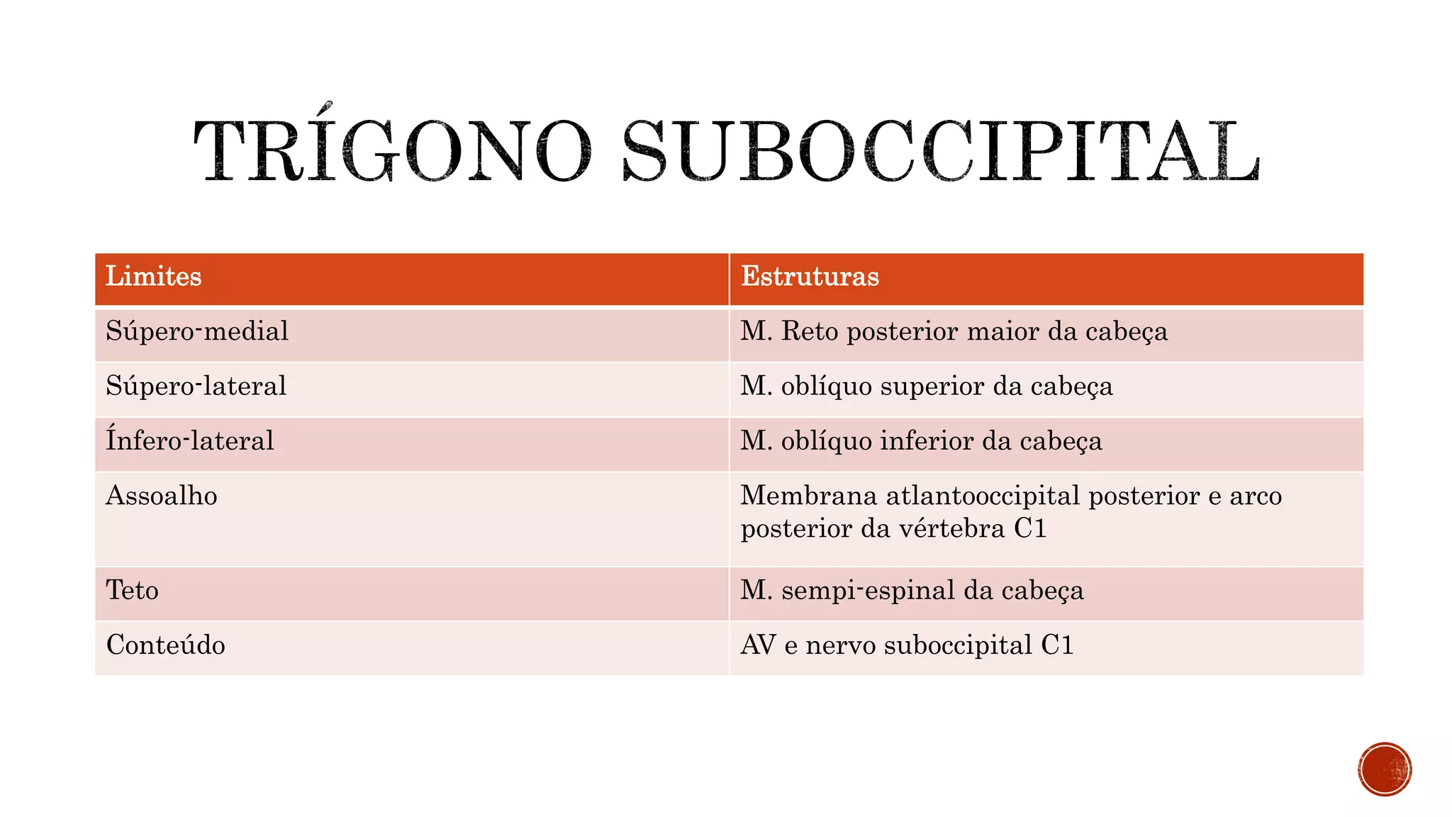 Anatomia do forame magno | PPTX