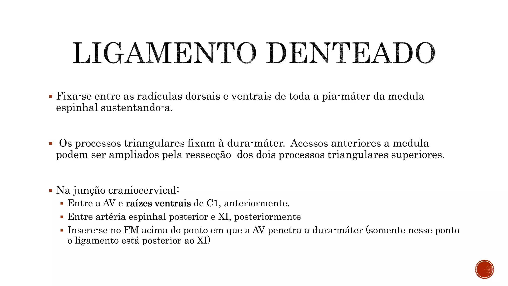 Anatomia do forame magno | PPTX
