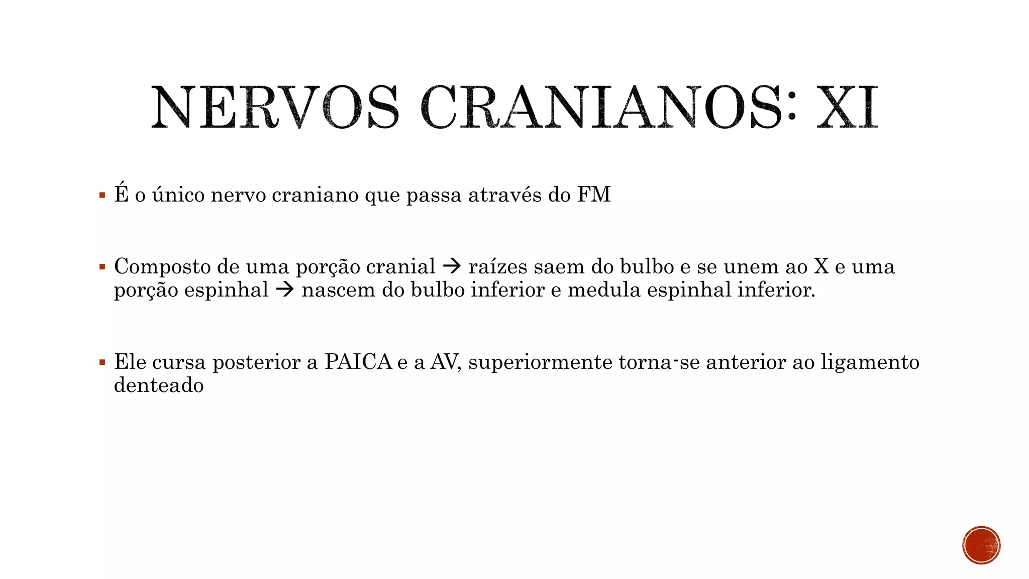 Anatomia do forame magno | PPTX