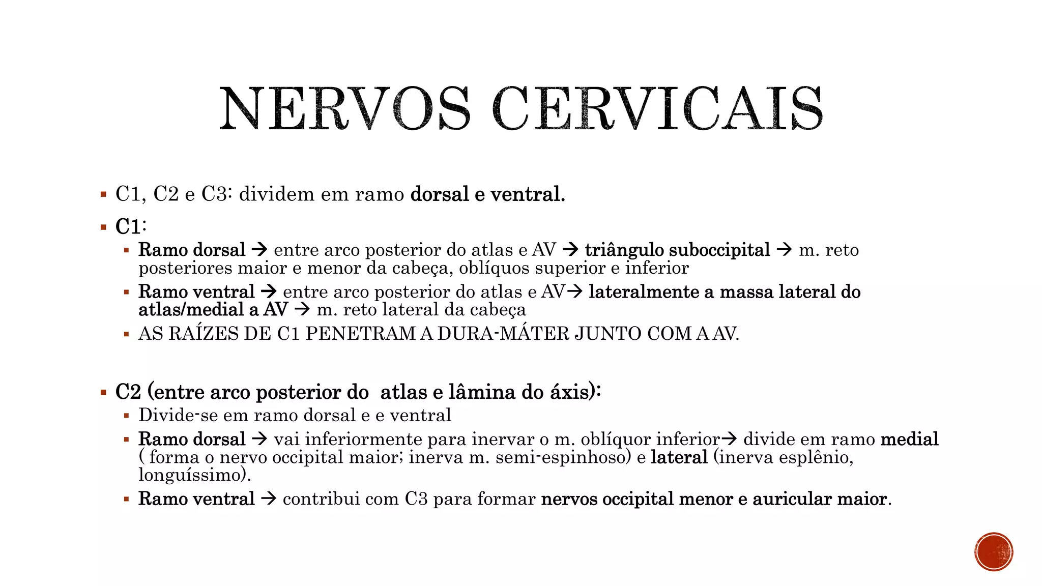 Anatomia do forame magno | PPTX