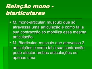 Anatomia Funcional.ppt