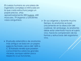 ANATOMIA FUNCIONAL 1era clase.pdf muy facil | PDF