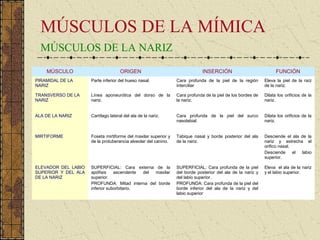 Anatomia funcional de los musculos de la cara | PPT