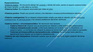 Espacio subaracnoideo y peridural anestesia | PPTX