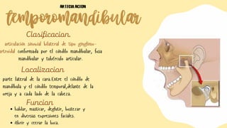 Anatomia general de cabeza y cuello | PDF