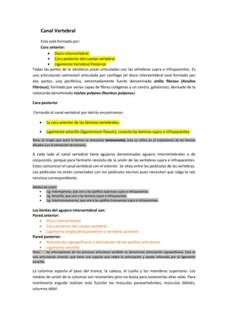Anatomia general de la medula espinal | DOC