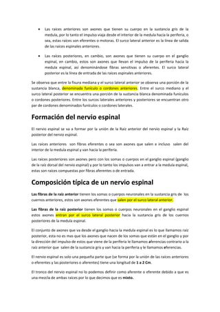 Anatomia general de la medula espinal | DOC