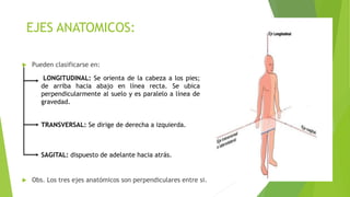 Anatomia generalidades | PPTX