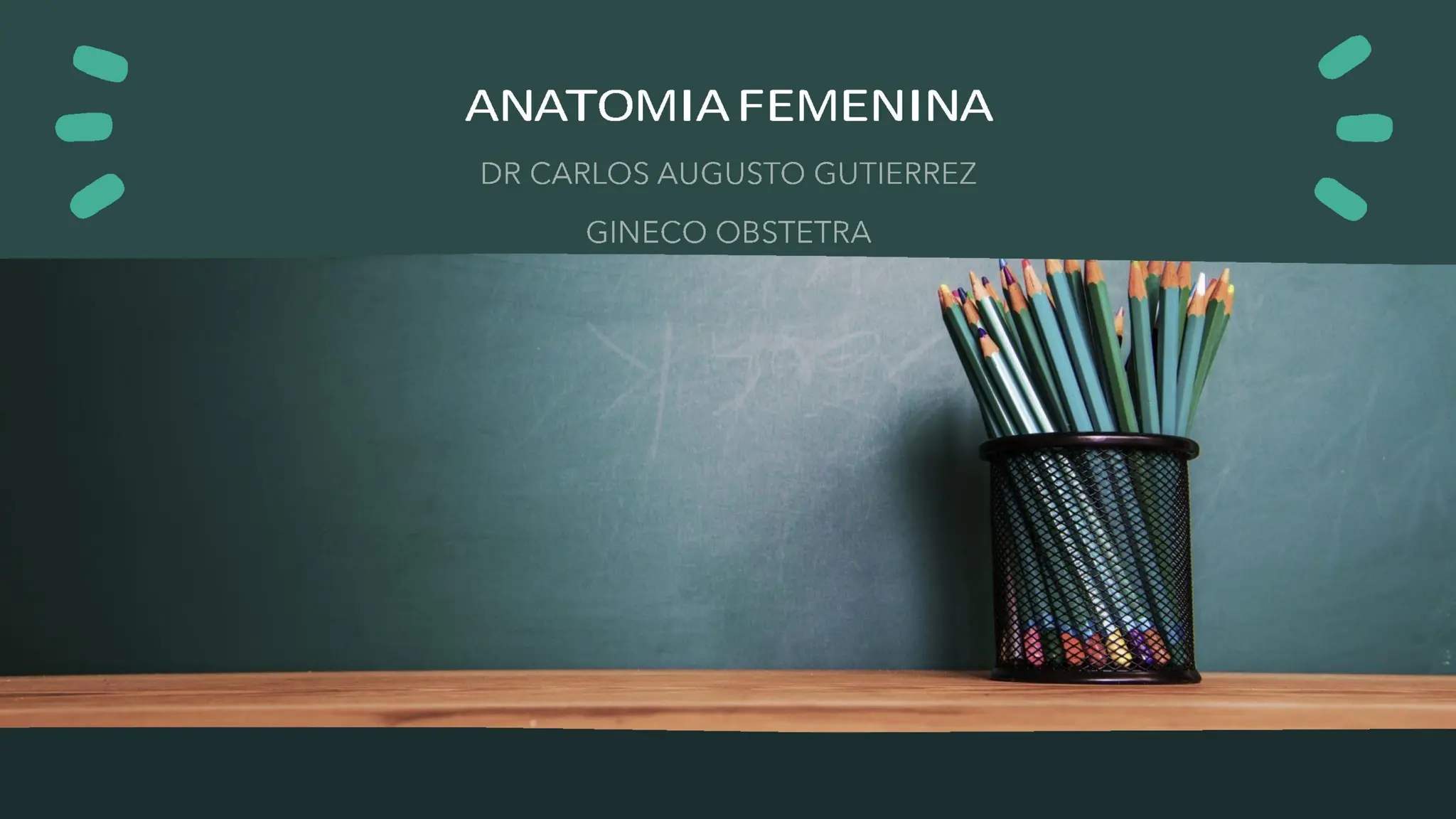 ANATOMIA GENITALES EXTERNOS E INTERNOS conv.pdf