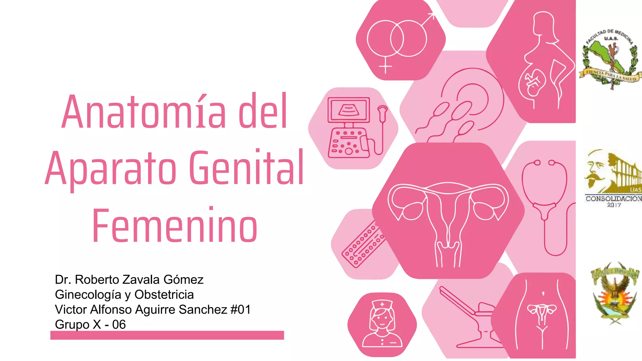 Anatomia Genitales Femeninos Pptx
