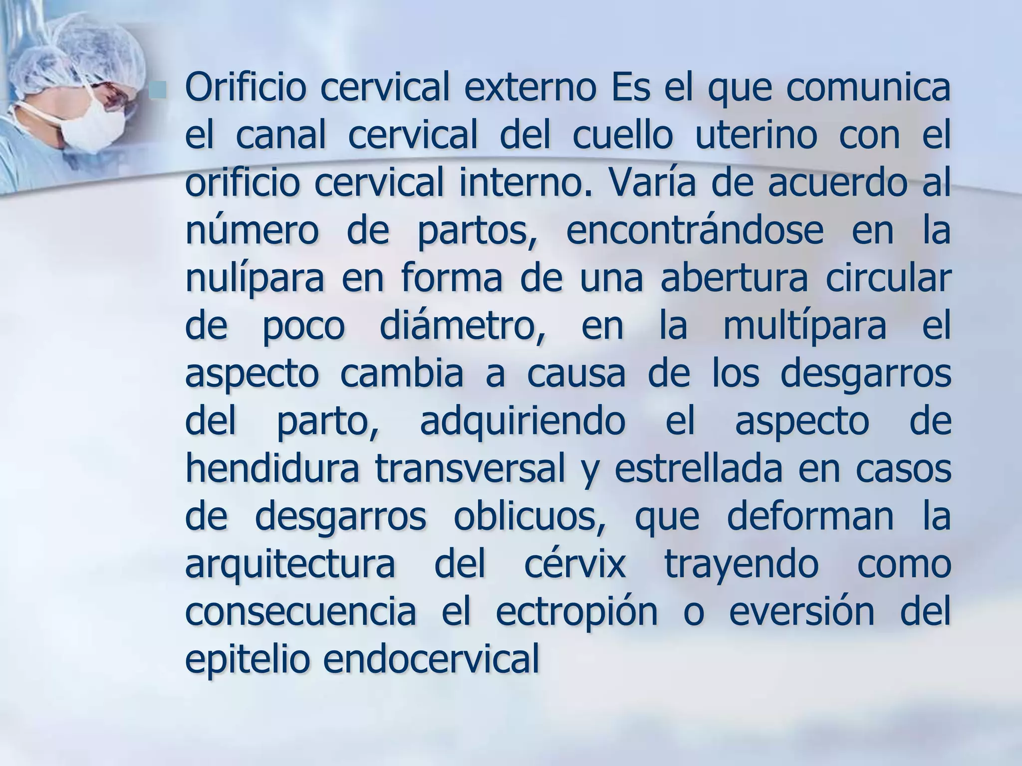 Anatomia genital inferior femenina | PPTX