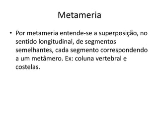 Anatomia geral terminologia anatômica - ricardo | PPTX
