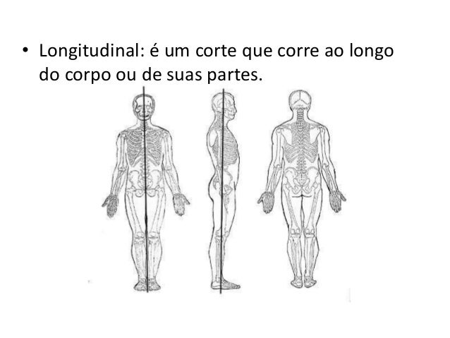 Anatomia geral terminologia anatômica - ricardo